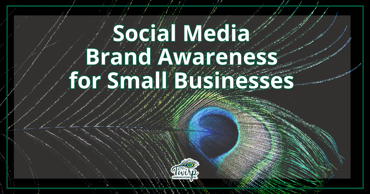 Social Media Brand Awareness for Small Businesses